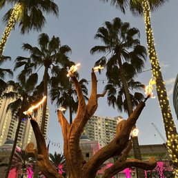 YOLO - Updated December 2025 - 2631 Photos & 1861 Reviews - 333 E Las ...