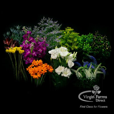 VIRGIN FARMS DIRECT - Updated July 2025 - 8475 NW 66th St, Miami ...