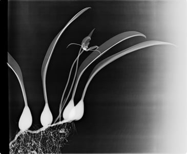 ROBIN RICE GALLERY with 49 real customer photos - Updated August 2024 ...