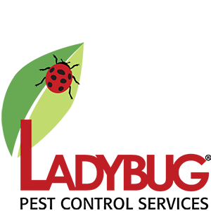 LADYBUG PEST CONTROL SERVICES - Updated August 2025 - 77 Photos & 32 ...