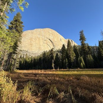 YOSEMITE NATIONAL PARK - Updated January 2025 - 8821 Photos & 1347 ...