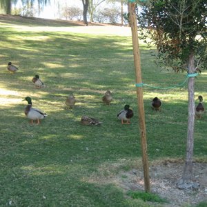 KIWANIS RECREATION CENTER - 48 Photos & 54 Reviews - 6111 S All America ...