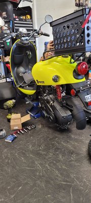 THE MOPED SHOP - Updated October 2025 - 62 Photos & 46 Reviews - 934 ...