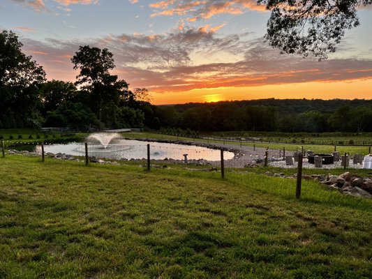 NUZZO’S FARM - Updated November 2024 - 736 E Main St, Branford ...