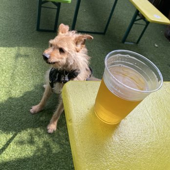 WUNDER GARTEN AT NOMA - Updated November 2025 - 383 Photos & 267 ...