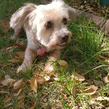 POTRERO COUNTY PARK CAMPGROUND - Updated December 2025 - 76 Photos & 30 ...