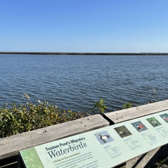 TRUSTOM POND WILDLIFE REFUGE - Updated July 2025 - 162 Photos & 17 ...