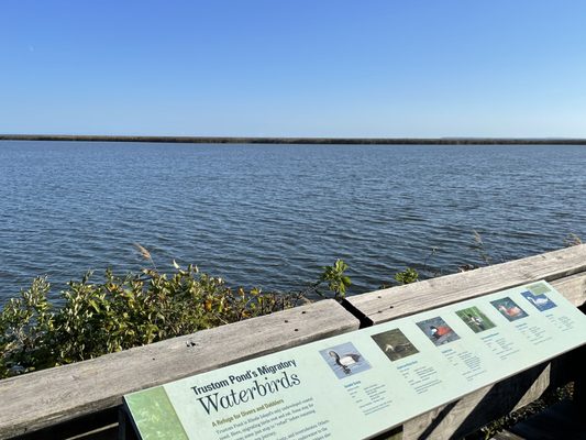 TRUSTOM POND WILDLIFE REFUGE - Updated July 2025 - 162 Photos & 17 ...