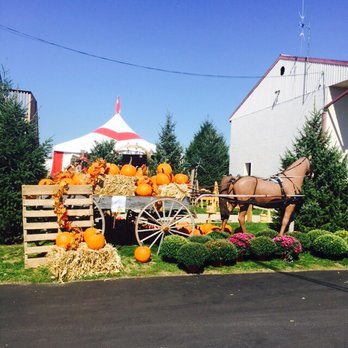 PEACEFUL VALLEY FURNITURE - Updated November 2024 - 31 Photos & 19 ...