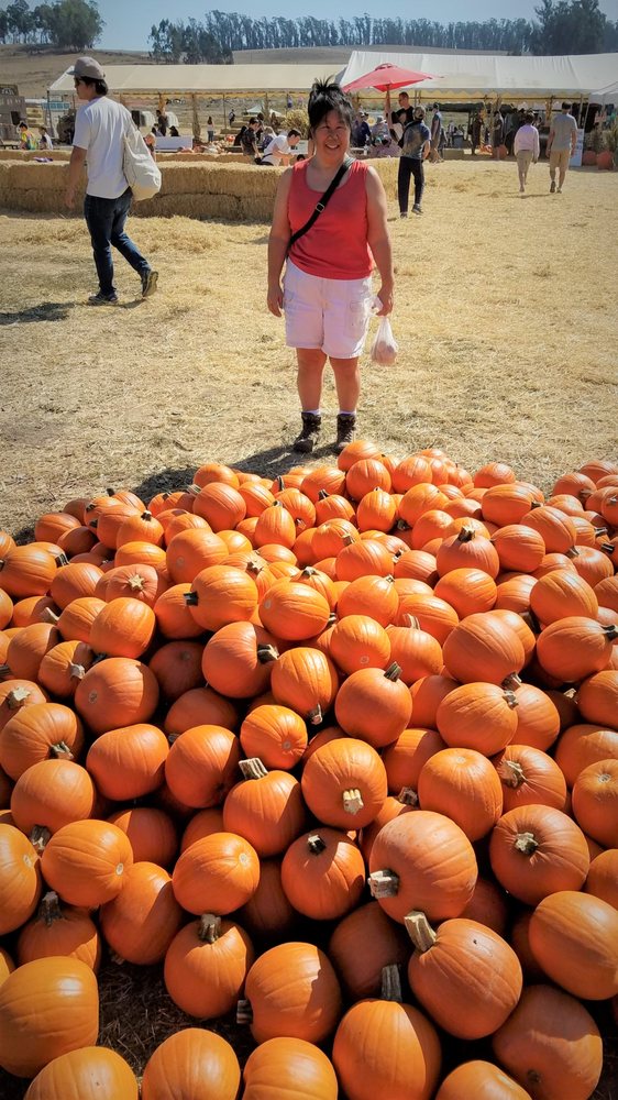 SPRING HILL FARM - 18 Photos & 15 Reviews - 4235 Spring Hill Rd ...