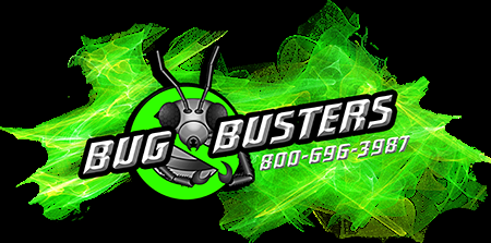 BUG BUSTERS - Updated July 2025 - 5942 S Stratler St, Salt Lake City ...