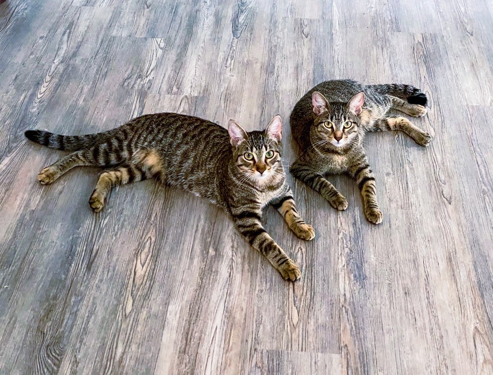 THE KAAWS CLINIC - Updated December 2025 - 45 Photos & 168 Reviews ...