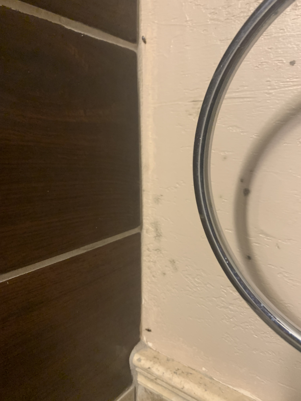 REDWOOD INN MOTEL - Updated December 2025 - 3811 W Chestnut Expy ...