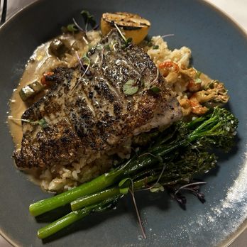 ALLIGATOR SOUL - Updated January 2025 - 1425 Photos & 1316 Reviews ...