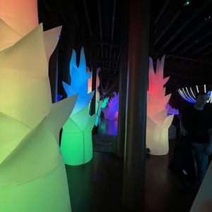 CURIODYSSEY - 750 Photos & 312 Reviews - 1651 Coyote Point Dr, San ...