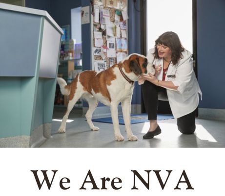 NATIONAL VETERINARY ASSOCIATES - NVA - Updated December 2025 - 1 Baxter ...