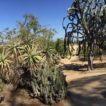 KATE O SESSIONS CACTUS GARDEN - Updated August 2024 - 55 Photos & 15 Reviews - Balboa Park, San ...