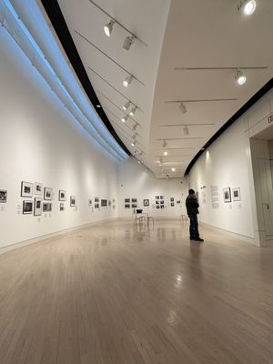 SPRINGFIELD MUSEUM OF ART - Updated October 2025 - 54 Photos - 107 ...