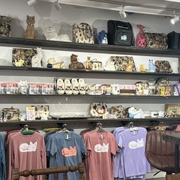 DON’T STRESS MEOWT - CAT CAFE - Updated April 2025 - 178 Photos & 21 ...