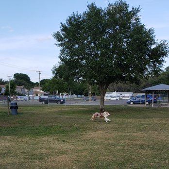 MANGO DOG PARK - Updated January 2026 - 26 Photos & 34 Reviews - 11717 ...