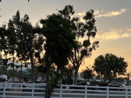 LAUNCH POINTE RECREATION DESTINATION & RV PARK - 499 Photos & 261 ...