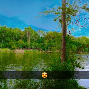 ALEXANDER DEUSSEN PARK - 119 Photos & 41 Reviews - Parks - 12303 ...