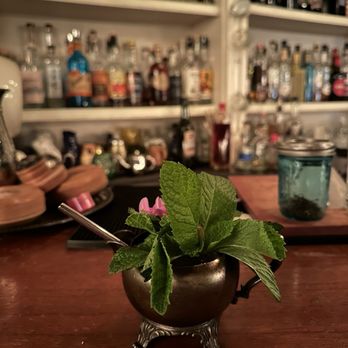 NEEDLE AND THREAD - Updated July 2025 - 468 Photos & 535 Reviews - 1406 ...