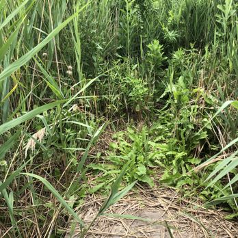 DUNNING READ CONSERVATION AREA - Updated December 2025 - 4200 N Oak ...