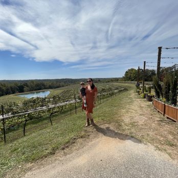 TRATTORIA DI MONTALUCE - Updated August 2024 - 117 Photos & 76 Reviews ...