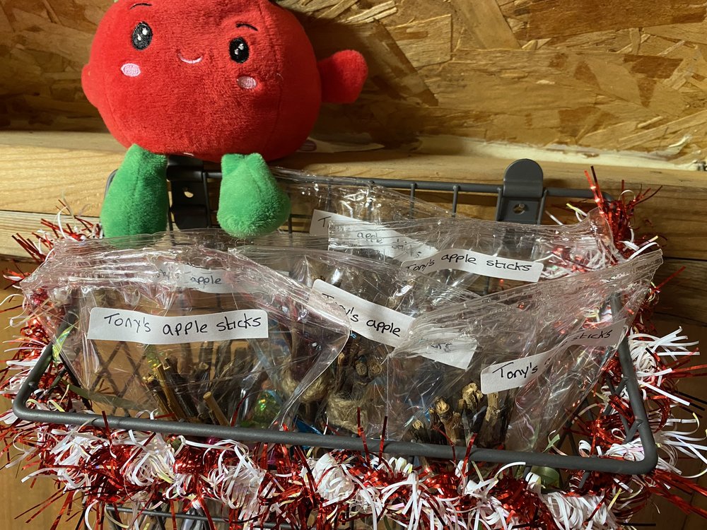 HAPPY LITTLE CRITTERS - Updated August 2024 - Request Information - 11 ...