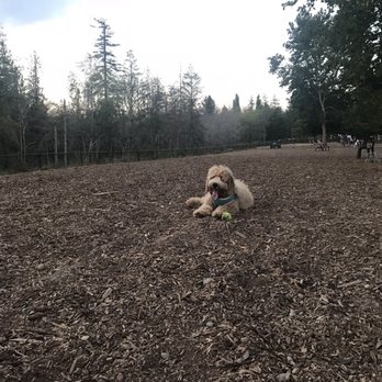 SILVERDALE DOG PARK - Updated November 2025 - 29 Photos & 21 Reviews ...