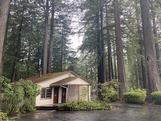 MIRANDA GARDENS RESORT - 45 Photos & 78 Reviews - 6766 Ave Of The ...