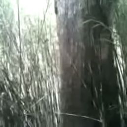 LEVEL UP ARCADE - Updated July 2025 - 63 Photos & 120 Reviews - 1290 ...