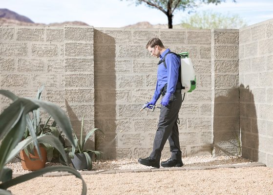 PURCOR PEST SOLUTIONS - Updated October 2025 - 34 Photos & 73 Reviews ...