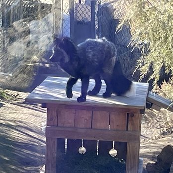 ANIMAL ARK - Updated November 2024 - 512 Photos & 154 Reviews - 1265 ...