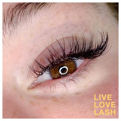 THE LIVE LOVE LASH STUDIO - 63 Photos - 4485 E Trinity Mills Rd, Dallas ...