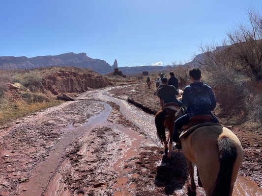 MOAB HORSES - Updated July 2025 - 54 Photos & 28 Reviews - Moab, Utah ...