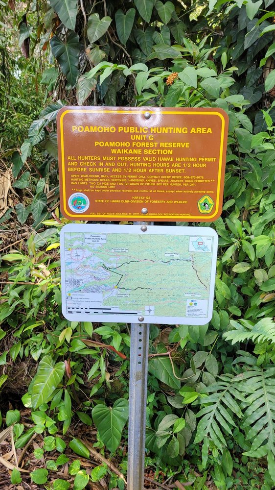 POAMOHO RIDGE TRAIL - Updated April 2025 - 88 Photos & 11 Reviews ...