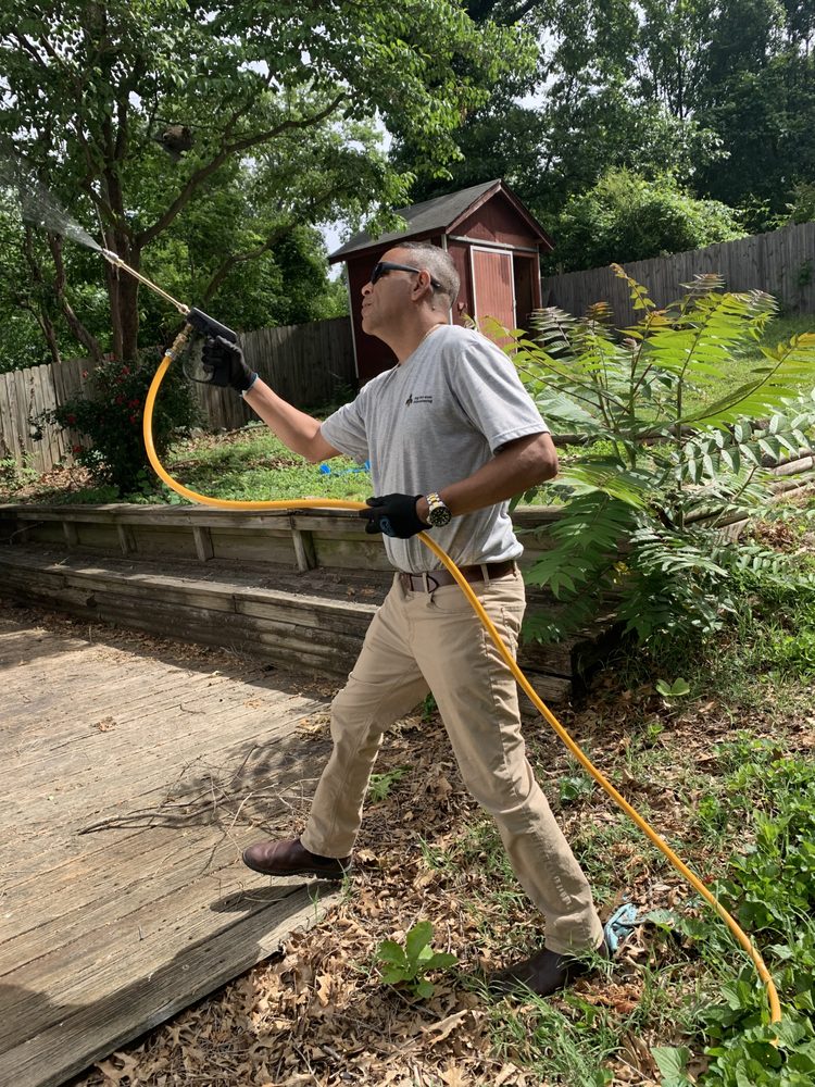 BUG BEE GONE EXTERMINATING - Updated October 2025 - Request a Quote ...