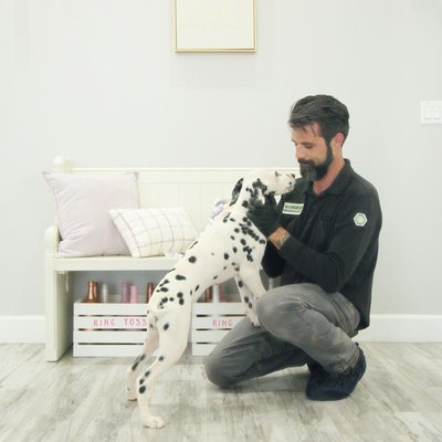 TRUFORCE PEST CONTROL - Updated October 2025 - 10 Photos & 17 Reviews ...