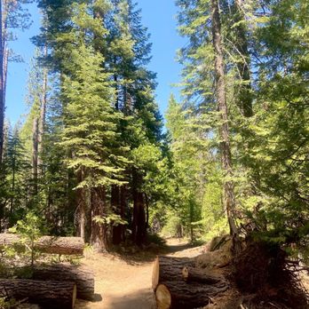 BASSI FALLS - Updated December 2025 - 312 Photos & 38 Reviews - El ...