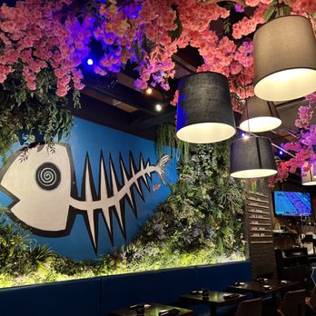 LAZY FISH - Updated September 2025 - 479 Photos & 510 Reviews - 10 E ...