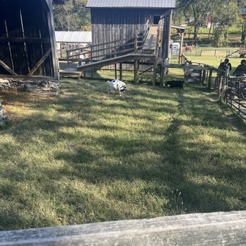 WEBER’S FARM - Updated January 2025 - 237 Photos & 151 Reviews - 2526 ...