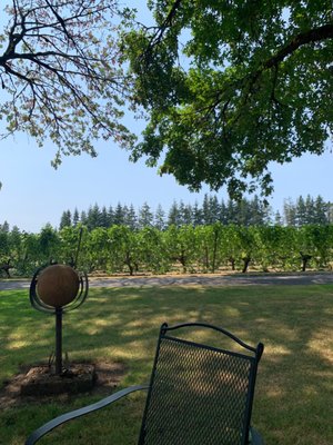 HAMACHER WINES - Updated July 2025 - 34 Photos & 21 Reviews - 14665 SW ...