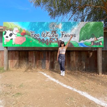 FOG WILLOW FARMS - Updated October 2025 - 484 Photos & 192 Reviews ...