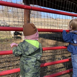 SUSON PARK - 132 Photos & 33 Reviews - 6059 Wells Rd, Saint Louis ...