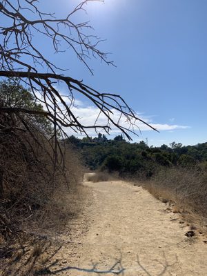 FRYMAN CANYON PARK - 180 Photos & 87 Reviews - Hiking - 8401 Mulholland ...