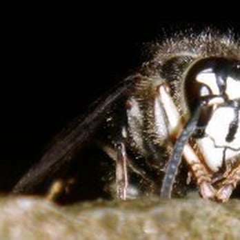 ARIA ENVIRONMENTAL - Updated October 2025 - 27 Reviews - Issaquah ...