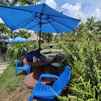 Blue Lagoon Farm Miami - Updated June 2026 - 75 Photos & 42 Reviews ...