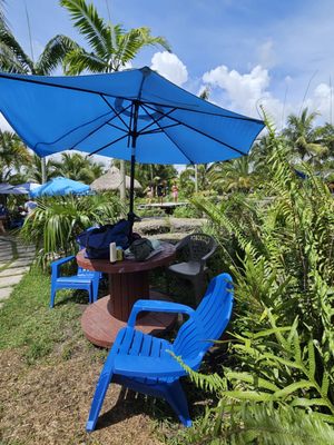 BLUE LAGOON FARM MIAMI - Updated January 2026 - 76 Photos & 41 Reviews ...